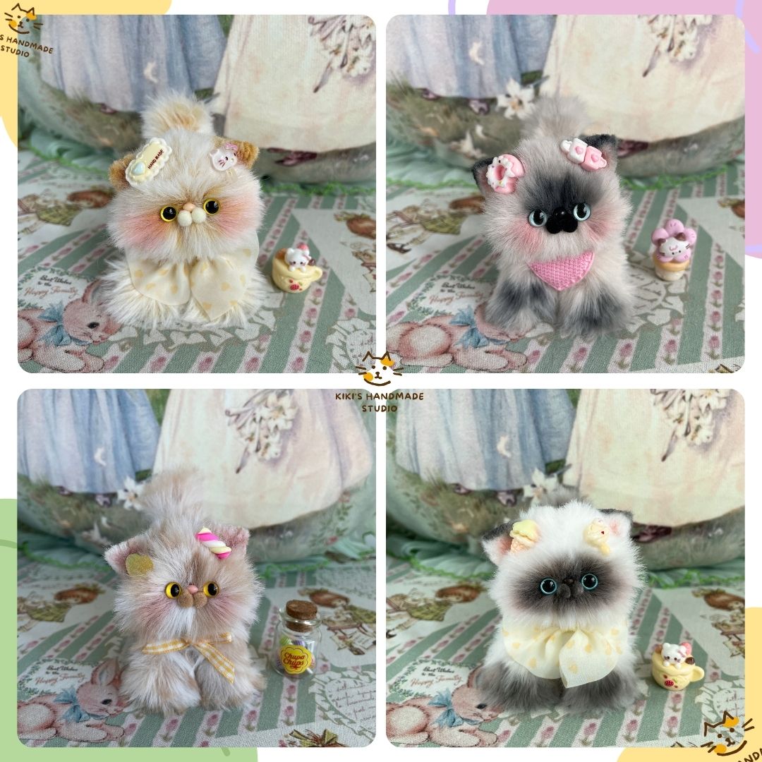 Adorable Handmade Mini Kittens – Calico, Ragdoll, Himalayan & More ...